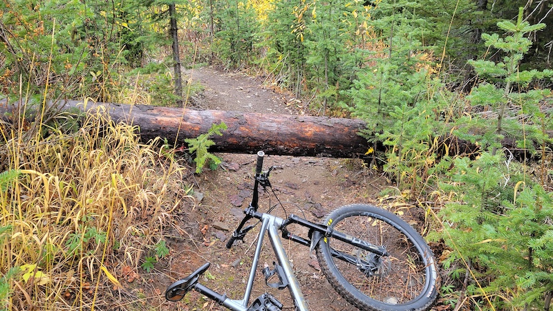 Sticky Fingers Multi Trail - Sun Peaks, British Columbia