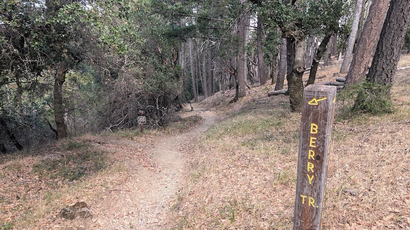 Lower Berry Trail Multi Trail - Fairfax, California