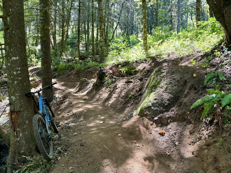 Buteo Drop Mountain Biking Trail - Cascade Locks, Oregon