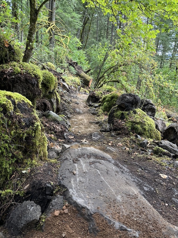 Peregrination Mountain Biking Trail - Cascade Locks