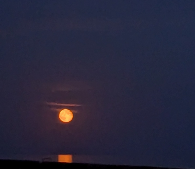 Park Point Nature Trail Hiking Trail - Duluth, MN