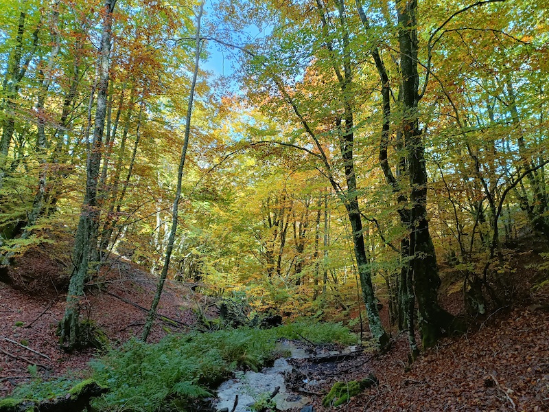 El Tren De La Mina IV Multi Trail - Tamaria, Guardo