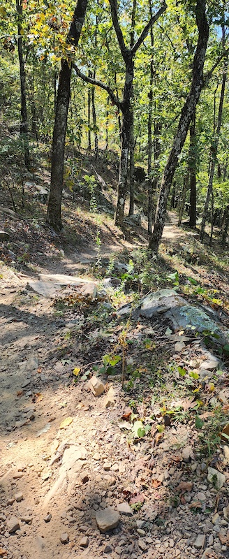 Whole lotta climbing Mountain Biking Route | Trailforks