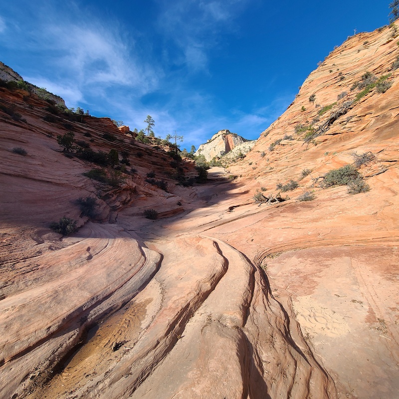 Many Pools Trail Hiking Trail - Zion, Utah | Trailforks