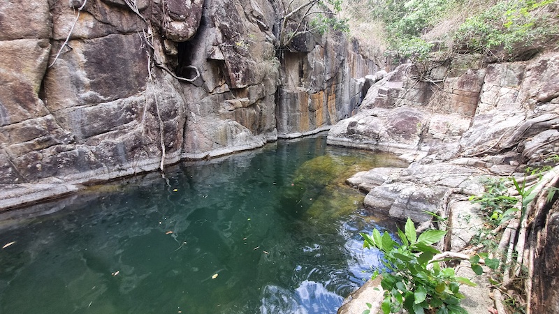 Mount Halifax Track Hiking Trail - Townsville