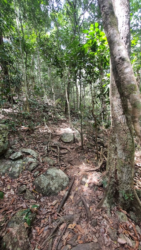 Mount Halifax Track Hiking Trail - Townsville