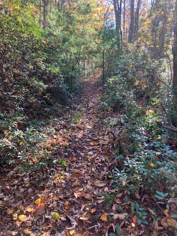 Peters Mountain Trail Multi Trail - Sweet Springs, WV