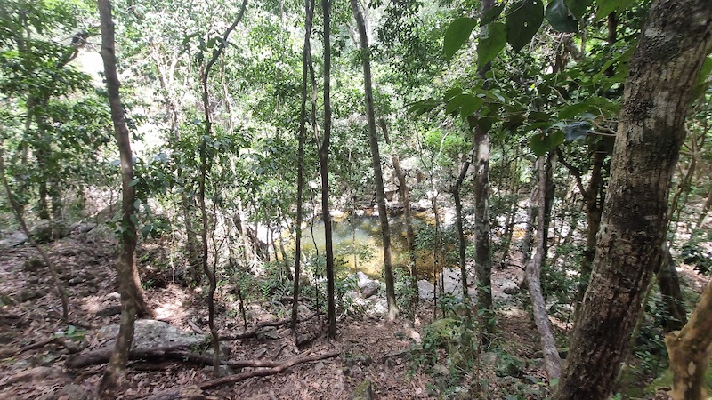Mount Halifax Track Hiking Trail - Townsville