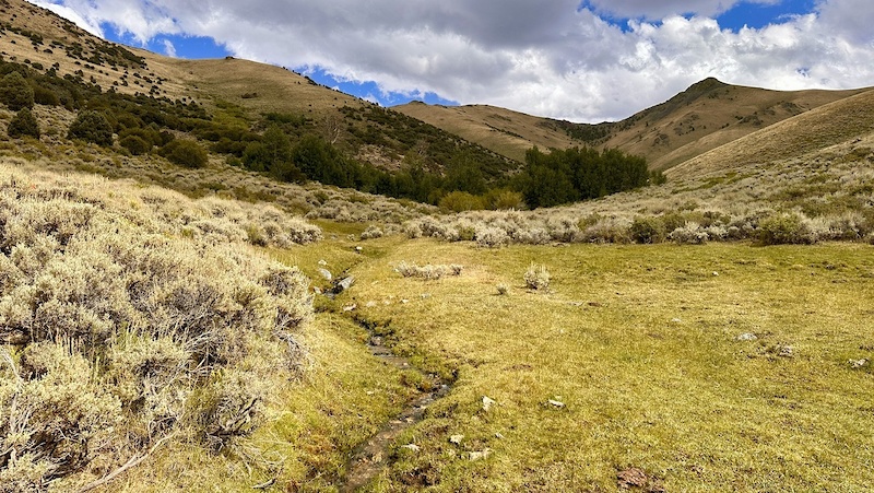 Mohawk Canyon Trail Mountain Biking Trail - - Nevada