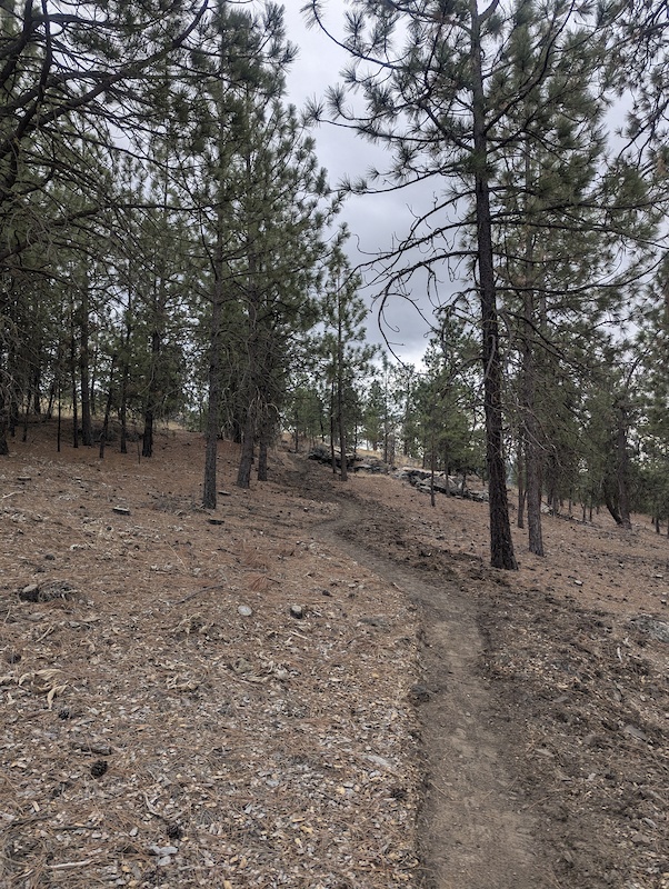 Minneral Spring Multi Trail - Spokane, Washington