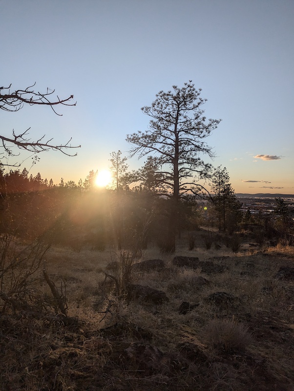 Minneral Spring Multi Trail - Spokane, Washington