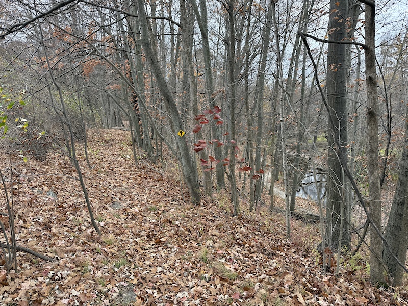 Goodells County Park Mountain Biking Trails | Trailforks