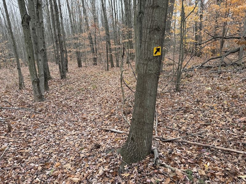Goodells County Park MTB trails Mountain Biking Trail - Port Huron