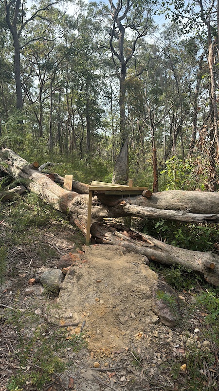 The Old logging trail Mountain Biking Trail - Kurrajong