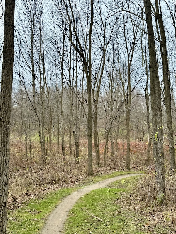 Addison Oaks County Park, Addison Township Mountain Biking Trails ...