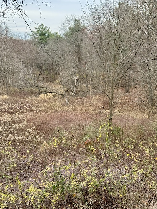 Addison Oaks County Park, Addison Township Mountain Biking Trails ...