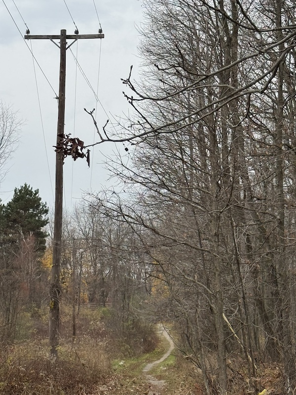 Addison Oaks County Park, Addison Township Mountain Biking Trails ...