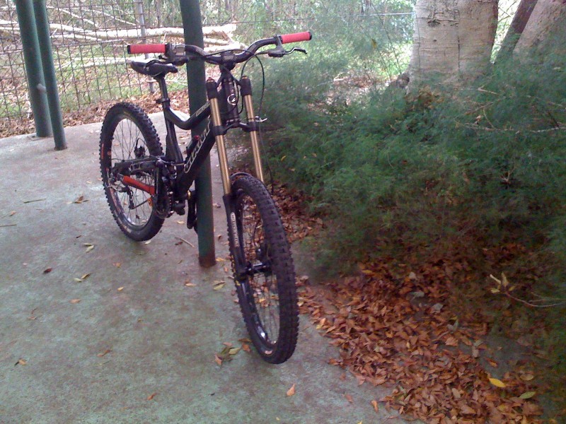 2005 Giant DH COMP Small For Sale