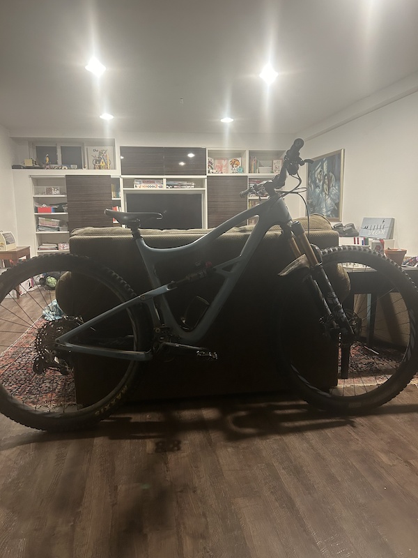 2020 Custom Ibis Ripley XL For Sale