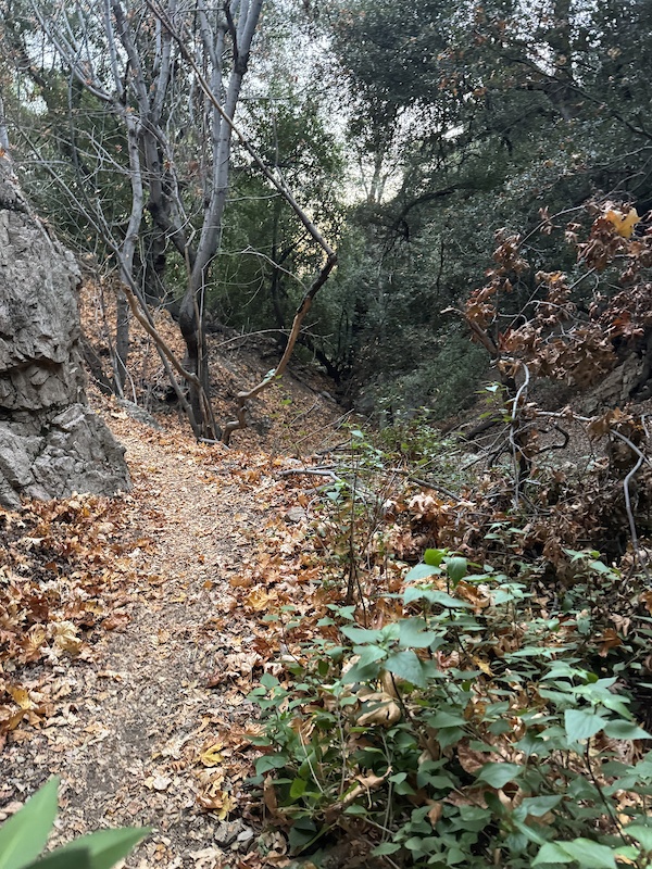 Castle Canyon Trail Hiking Trail - Altadena, CA