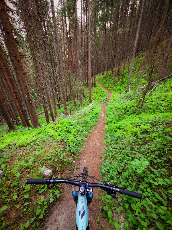 Nesbyen sentrum Mountain Biking Trails | Trailforks
