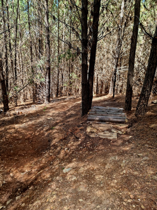 Wiggles Mountain Biking Trail - Bright | Trailforks