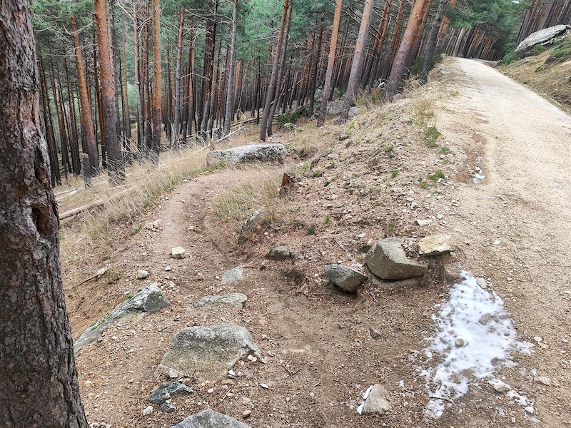 Zetas de La Herrada Multi Trail - Soto del Real