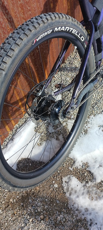 Rohloff 29er touring, bikepacking bolt on rear wheel For Sale