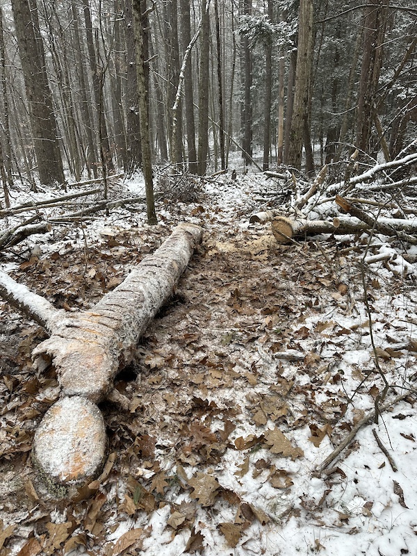 Log Loop Multi Trail - Westbrook, Maine | Trailforks