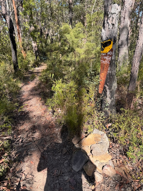 The Old logging trail Mountain Biking Trail - Kurrajong