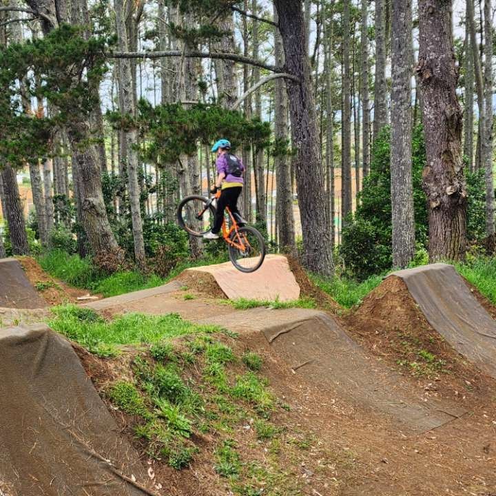 Puni Park Mountain Biking Trails | Trailforks