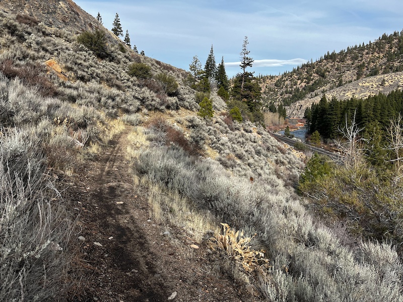 Tahoe-Pyramid Trail (Puny Dip Canyon) Multi Trail - Truckee
