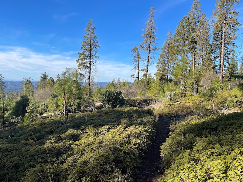 Cowboy Loop Mountain Biking Route | Trailforks