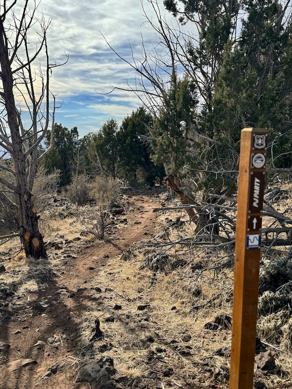 Cliffrose Trail System, St. George Mountain Biking Trails | Trailforks