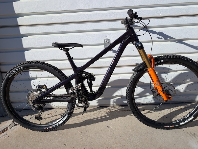 2024 Pivot Firebird Custom paint and Build For Sale