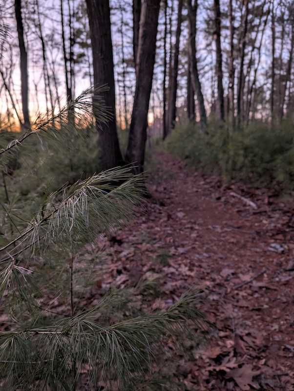 Natchaug Island Multi Trail - Pomfret, CT | Trailforks