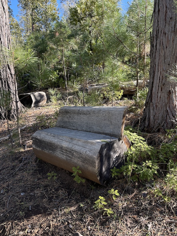 ART-Cowboy Loop Multi Trail - Arnold, California