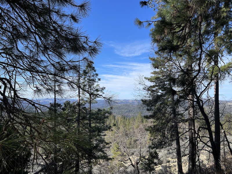 ART-Cowboy Loop Multi Trail - Arnold, California