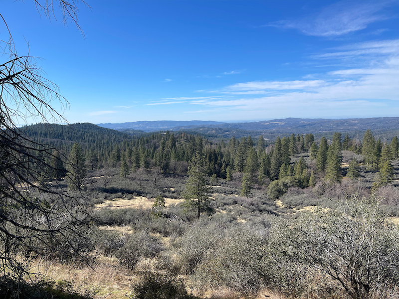 ART-Cowboy Loop Multi Trail - Arnold, California