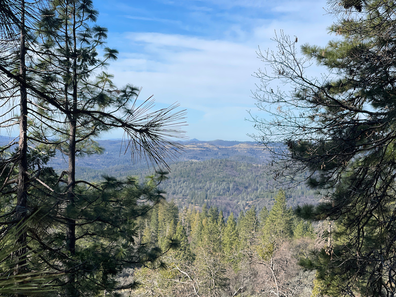 ART-Cowboy Loop Multi Trail - Arnold, California