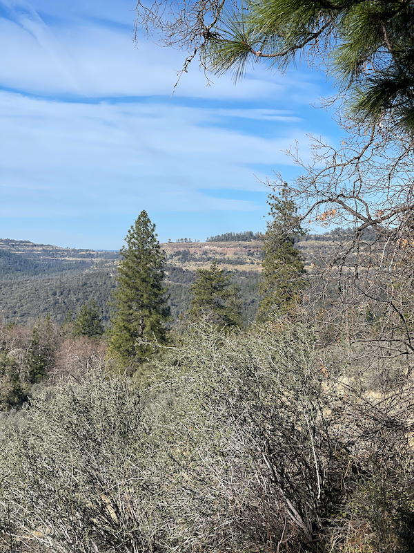 ART-Cowboy Loop Multi Trail - Arnold, California