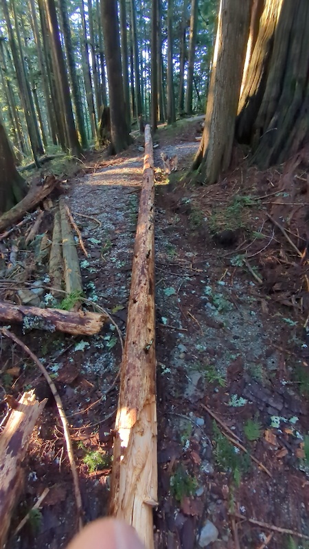 Old Forks Trail Hiking Trail - West Vancouver, BC