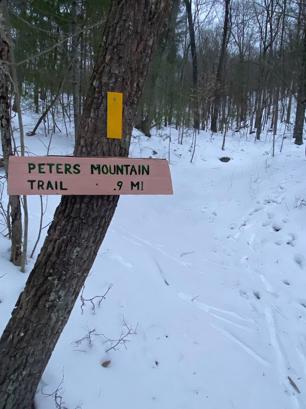 Peters Mountain Trail Multi Trail - Sweet Springs, WV