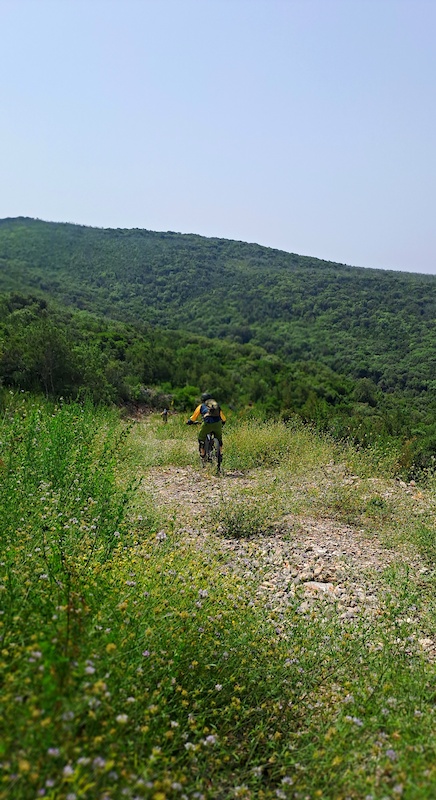 Grabovac - Plavi Horizonti Trail Mountain Biking Trail