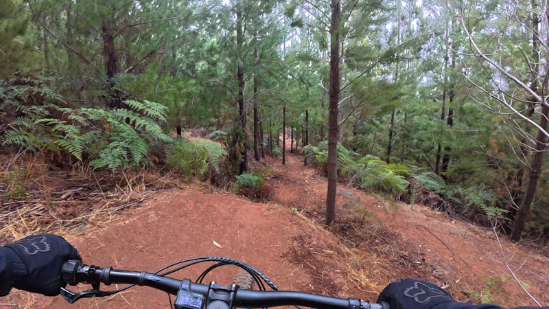 Mayhem Mountain Biking Trail - | Trailforks