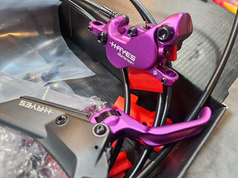 2025 Hayes Dominion A4 Purple - Limited Edition! For Sale