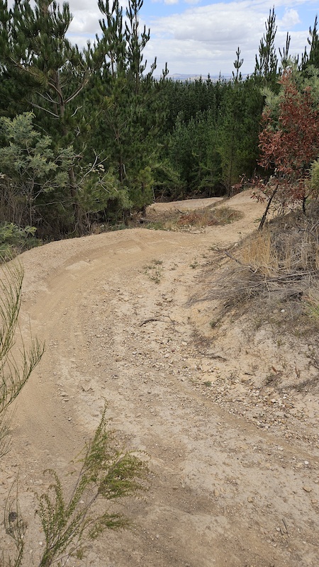 Admiral Mountain Biking Trail - Creswick | Trailforks