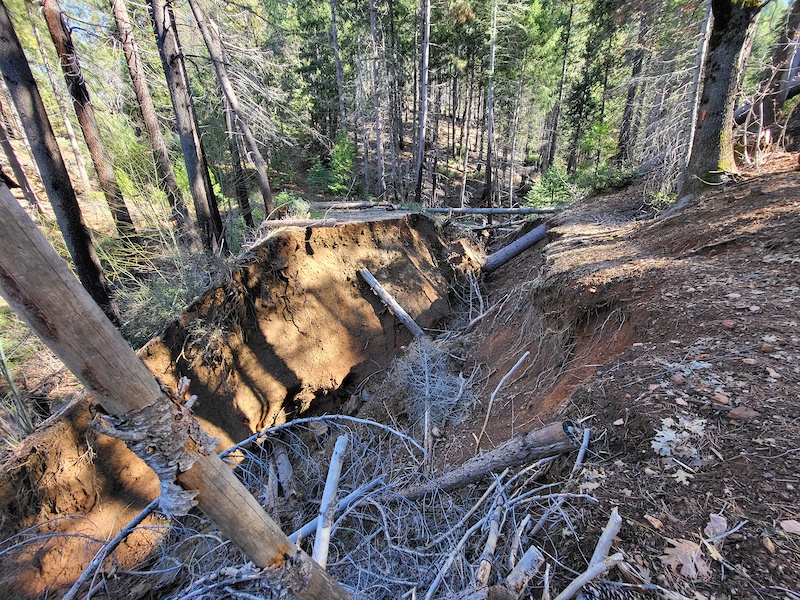 FR1S13 Multi Trail - Buck Meadows, California