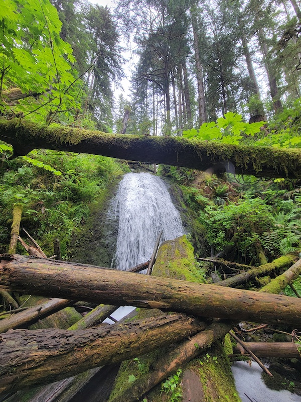Marckworth State Forest, Duvall Mountain Biking Trails | Trailforks