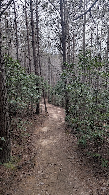 Chestnut Ridge Hiking Trail - Greer, South Carolina